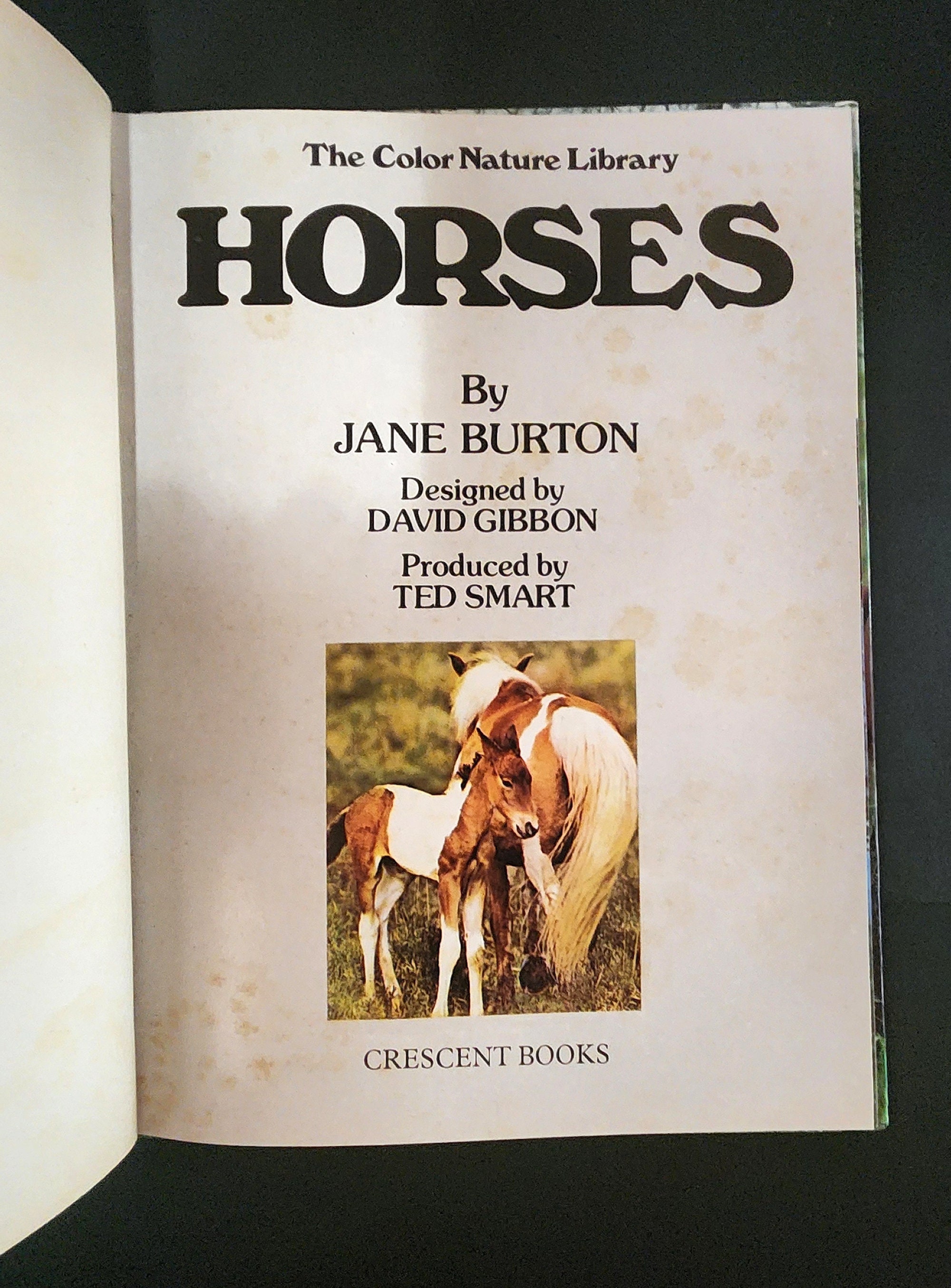 Horses, the Color Nature Library, Illustrated, 1978, Jane Burton - Etsy