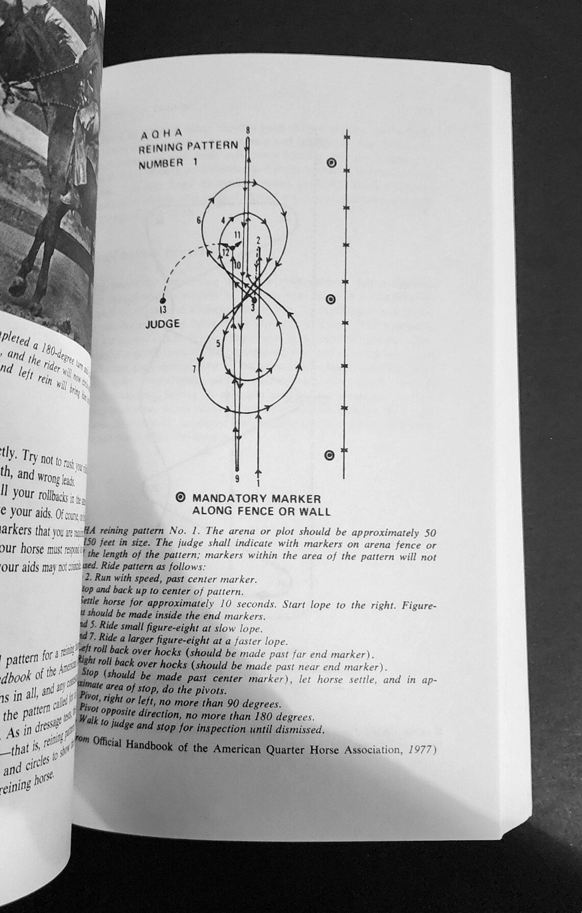 Basic Horse Care, English and Western, Eleanor F. Prince, Gaydell M ...