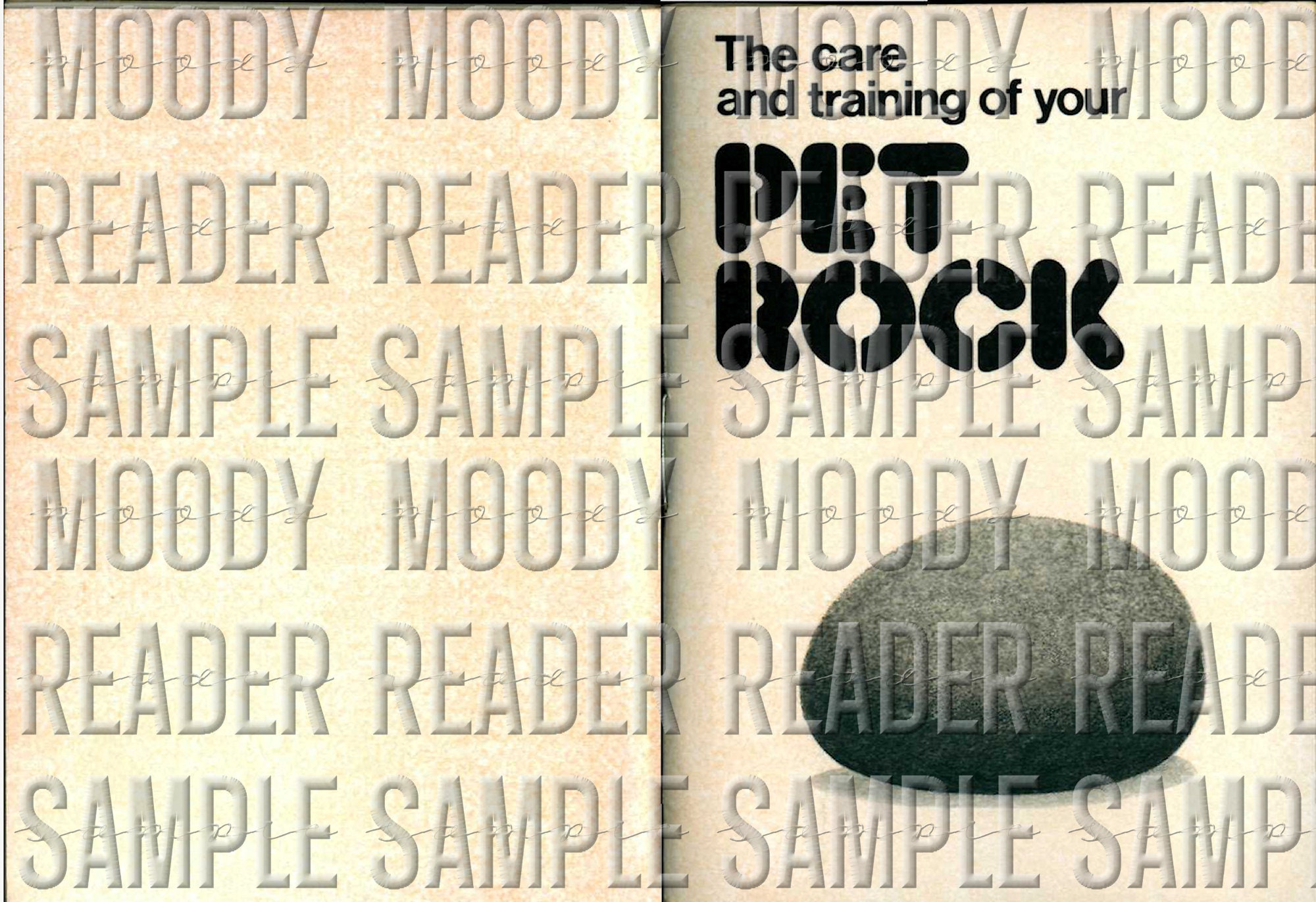 Pet Rock, Owner's Care and Training Manual, Pet Rock Box Template ...