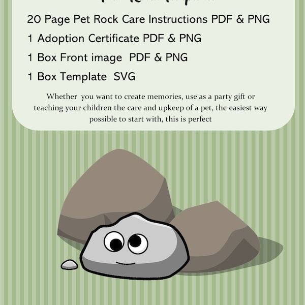 Pet Rock - Etsy
