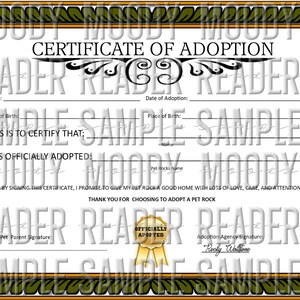 Pet Rock, Owner's Care and Training Manual, Pet Rock Box Template ...