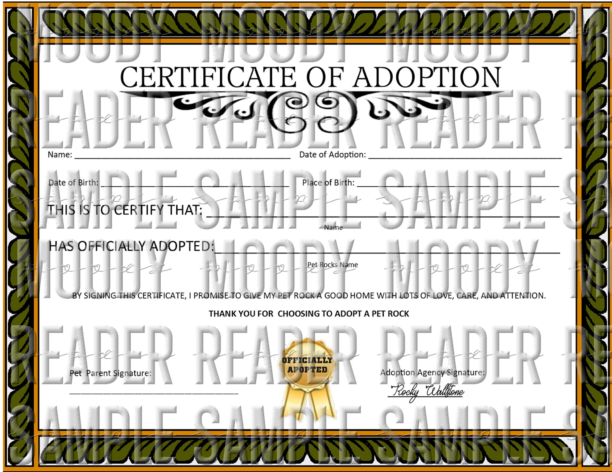 Pet Rock, Owner's Care and Training Manual, Pet Rock Box Template ...