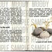 Pet Rock, Owner's Care and Training Manual, Pet Rock Box Template ...