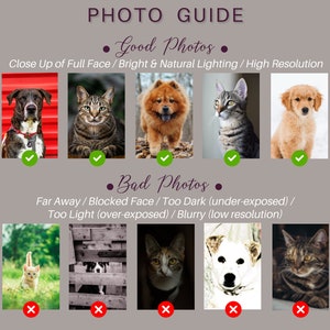 2 Pet Portrait, Star Wars Fan Art, Dog Cat Painting, Luke and Leia ...