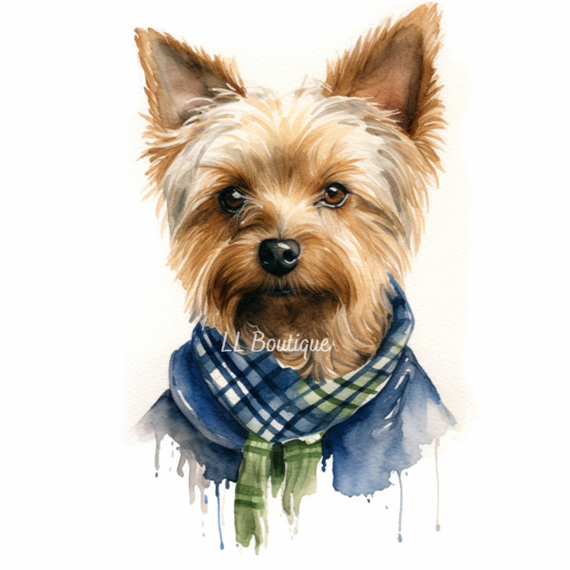 4 Watercolor Male Yorkie Images, .PNG File, Dog Art, Nursery Art, Wall ...