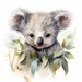 4 Watercolor Woodland Forest Koala Bear Images, .PNG File, Baby Room ...