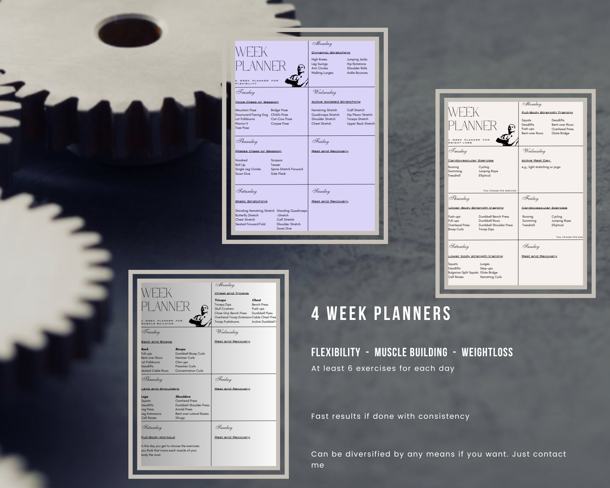 4 Week Printable Training Programs for Muscle Building, Flexibility and ...