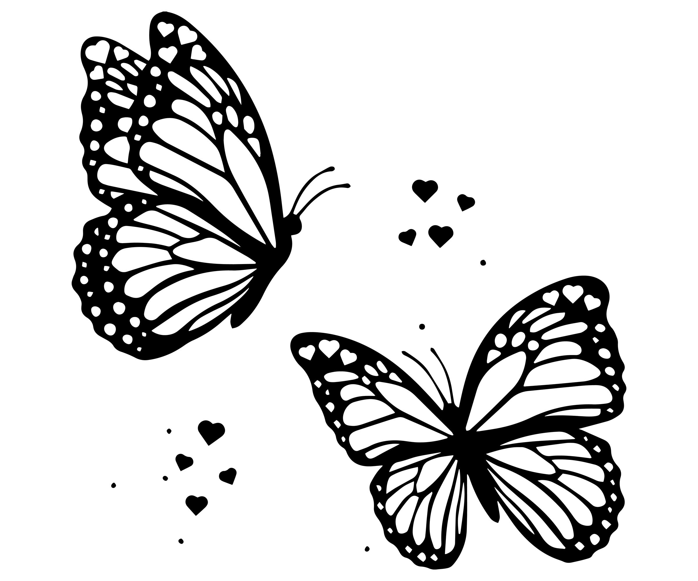 Two Butterflies Flying Together