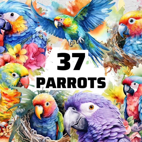 Watercolor Parrot - Etsy