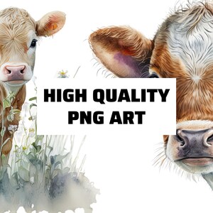 Baby Cow PNG Cow Clipart Cow Face Clipart Farm Animal Baby Cow Clipart ...