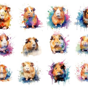Guinea Pig Clipart, Guinea Pig PNG, Clipart Guinea Pig, Animal Clipart ...