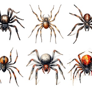 Spider Clipart, Spiders PNG, Halloween Spider Clipart, Spooky Clipart ...