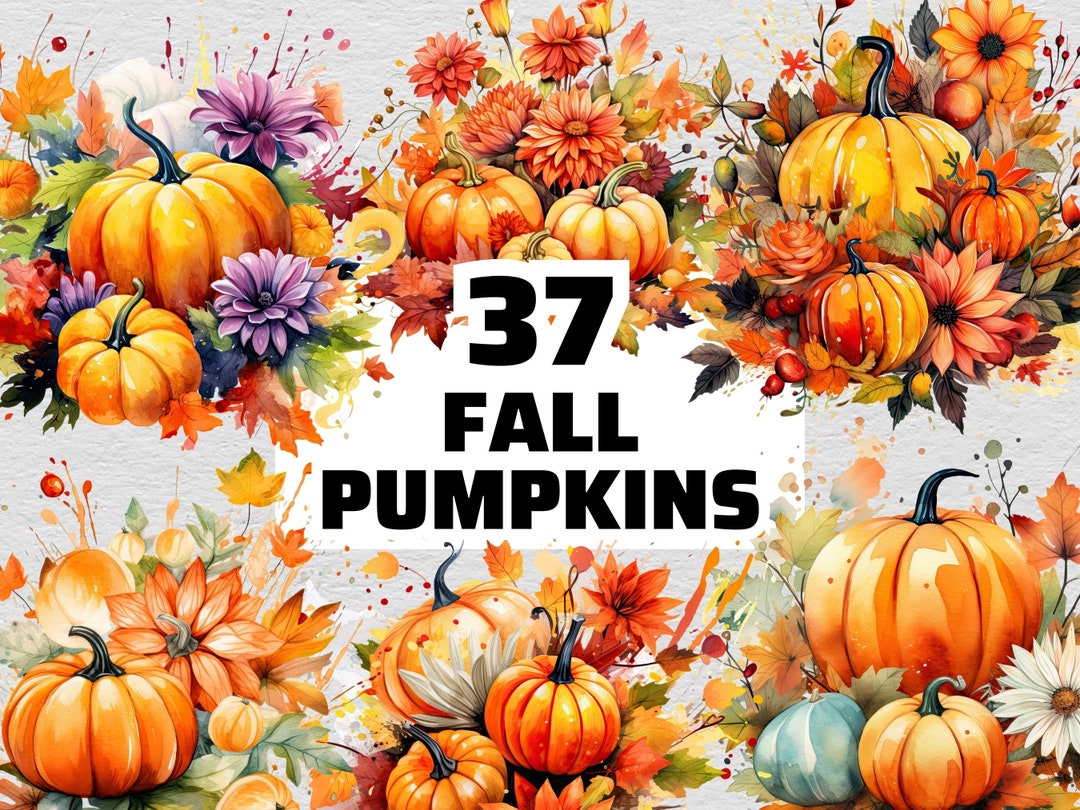 Fall Pumpkins Clipart Fall Pumpkin PNG Pumpkins Clipart - Etsy