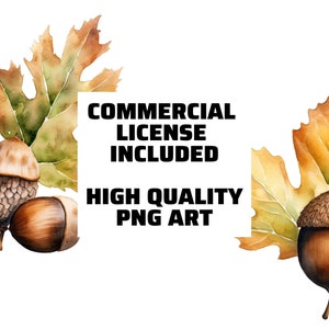 Fall Acorn Clipart, Scrapbook Clipart, Autumn PNG, Fall Clipart, Autumn ...