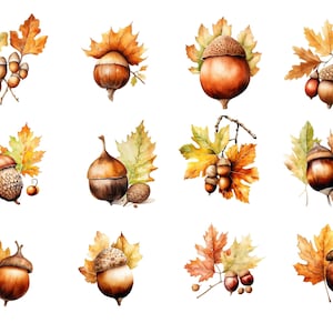 Fall Acorn Clipart, Scrapbook Clipart, Autumn PNG, Fall Clipart, Autumn ...