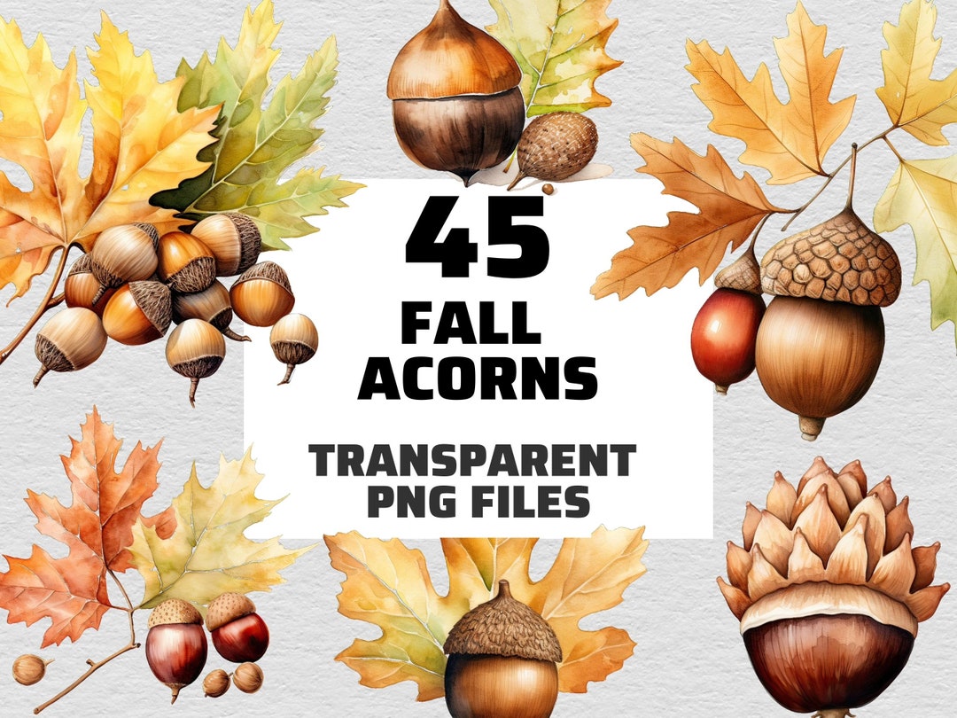 Fall Acorn Clipart, Scrapbook Clipart, Autumn PNG, Fall Clipart, Autumn ...