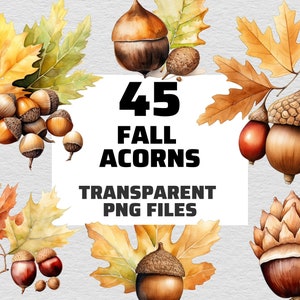 Fall Acorn Clipart, Scrapbook Clipart, Autumn PNG, Fall Clipart, Autumn ...