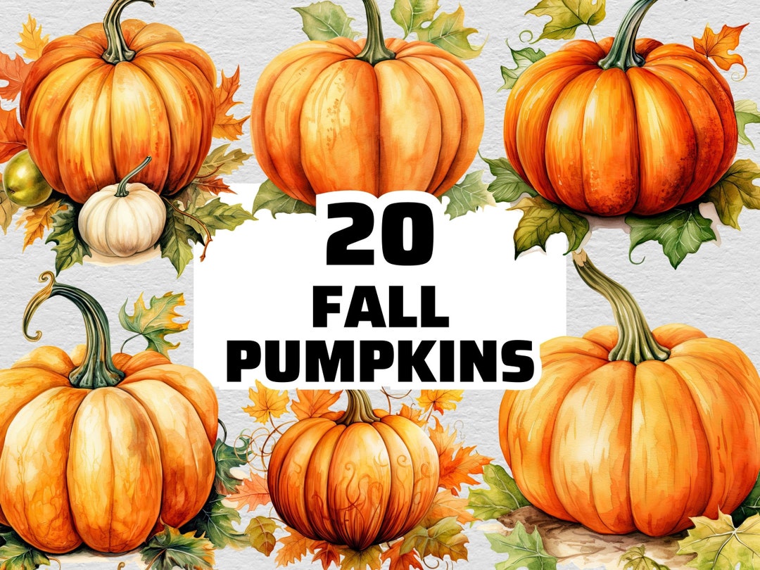 Pumpkin Bundle PNG, Fall Pumpkin Clipart, Pumpkin PNG, Pumpkin Clipart ...