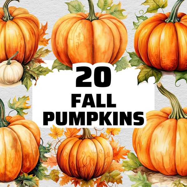 Pumpkin Clipart - Etsy