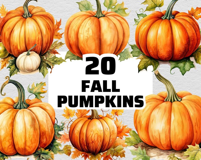 Pumpkin Bundle PNG, Fall Pumpkin Clipart, Pumpkin PNG, Pumpkin Clipart ...