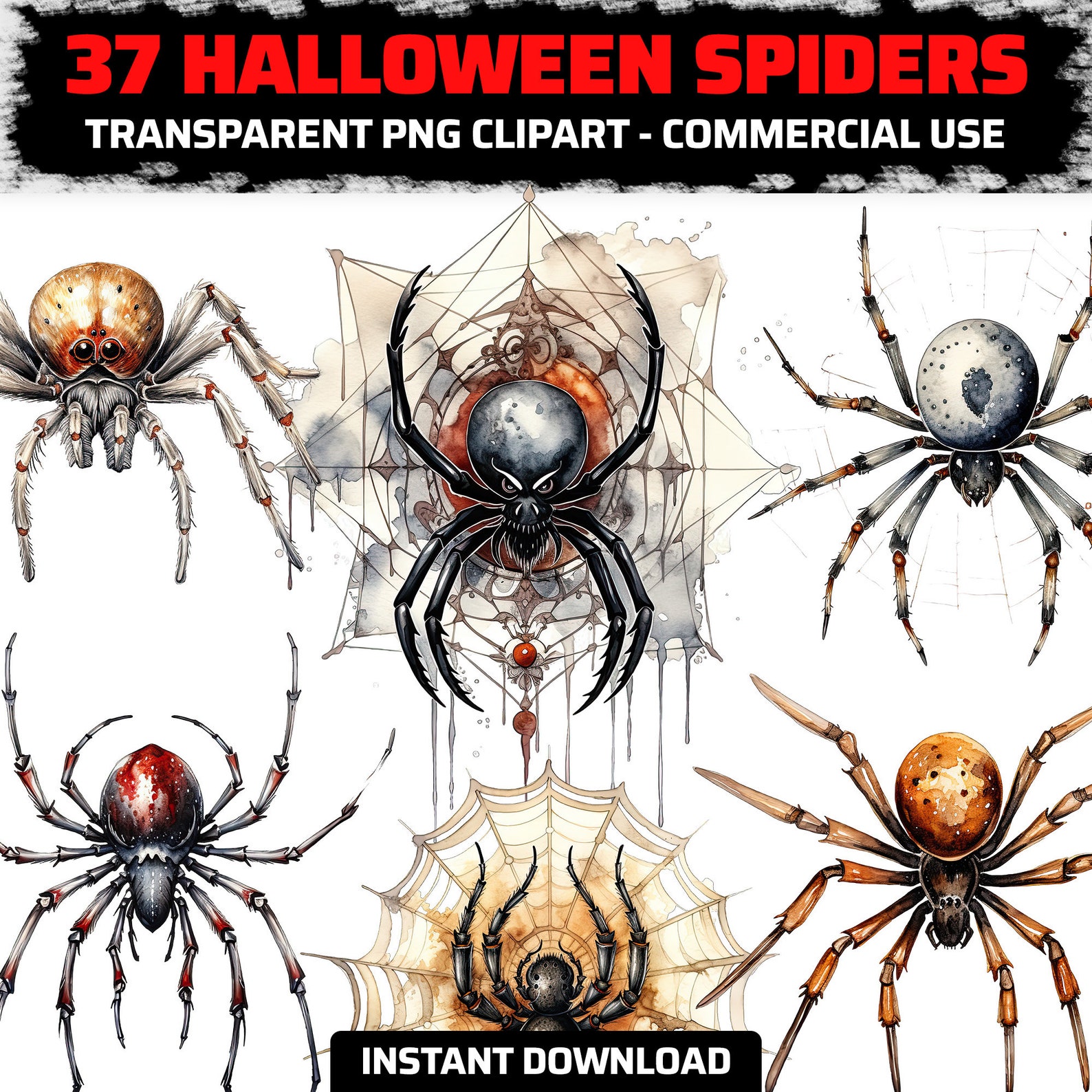 Spider Clipart, Spiders PNG, Halloween Spider Clipart, Spooky Clipart ...