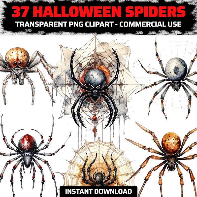 Spider Clipart Spiders PNG Halloween Spider Clipart Spooky - Etsy