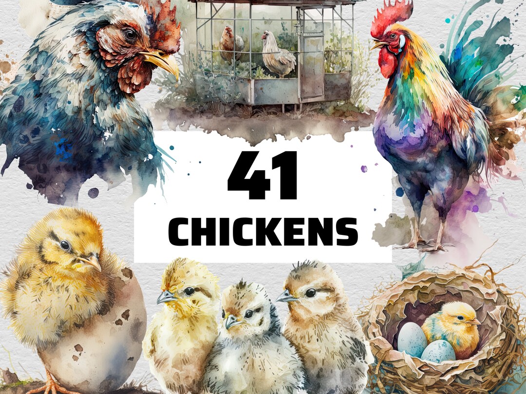 Chicken Clipart Farming Chicken Clipart Farm Chicken Clipart Chicken ...