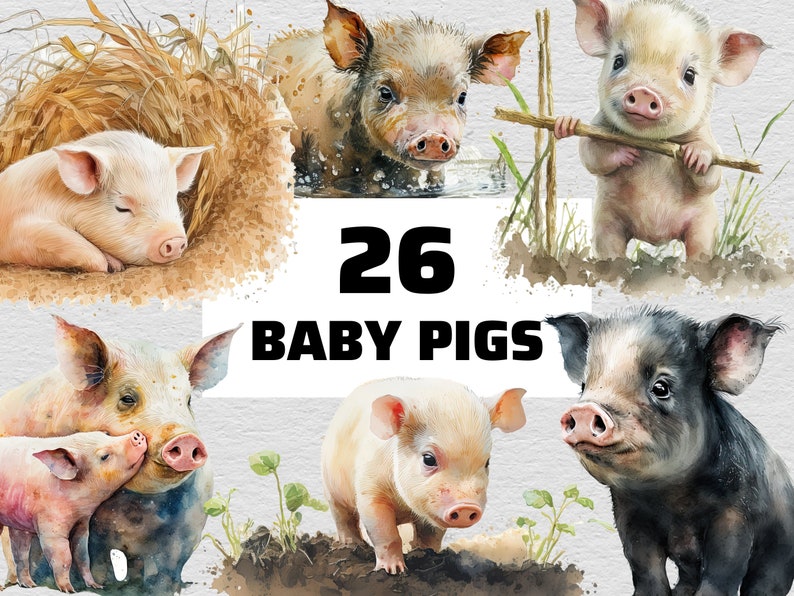 Baby Pig Clipart Baby Pig PNG Farming Pig Clipart Cute - Etsy