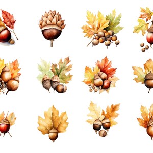Fall Acorn Clipart, Scrapbook Clipart, Autumn PNG, Fall Clipart, Autumn ...