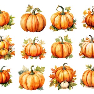 Pumpkin Bundle PNG, Fall Pumpkin Clipart, Pumpkin PNG, Pumpkin Clipart ...