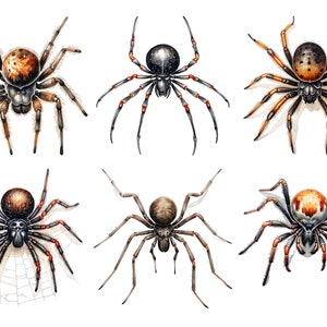 Spider Clipart, Spiders PNG, Halloween Spider Clipart, Spooky Clipart ...