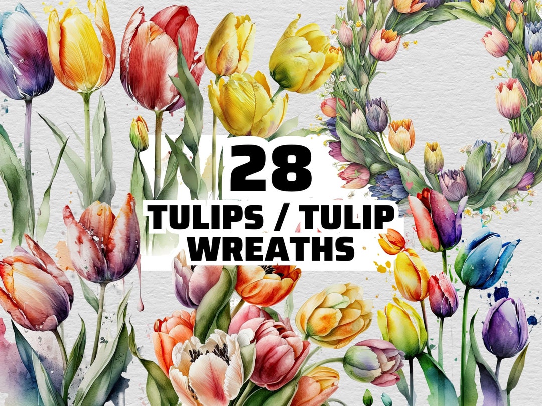 Tulip Clipart, Spring Tulips PNG, Watercolor Tulips PNG, Watercolor ...