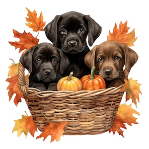 Cute Dog Clipart, Autumn PNG, Cute Clipart Watercolor PNG, Autumn ...