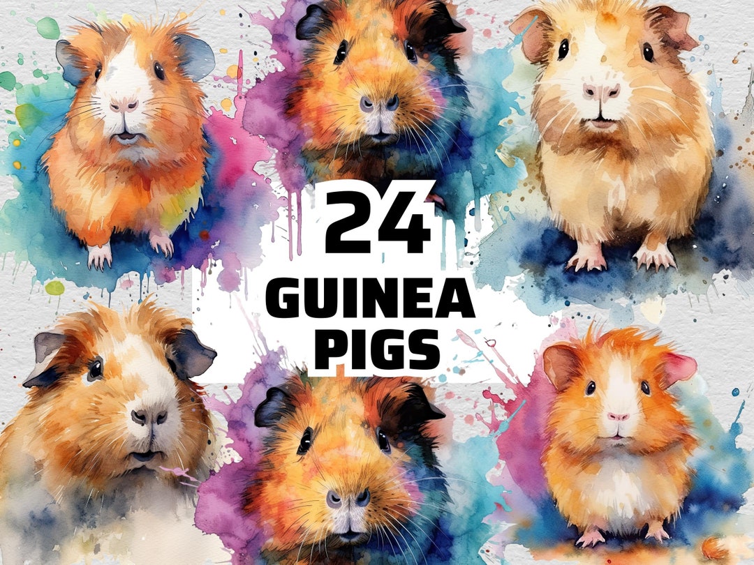 Guinea Pig Clipart, Guinea Pig PNG, Clipart Guinea Pig, Animal Clipart ...