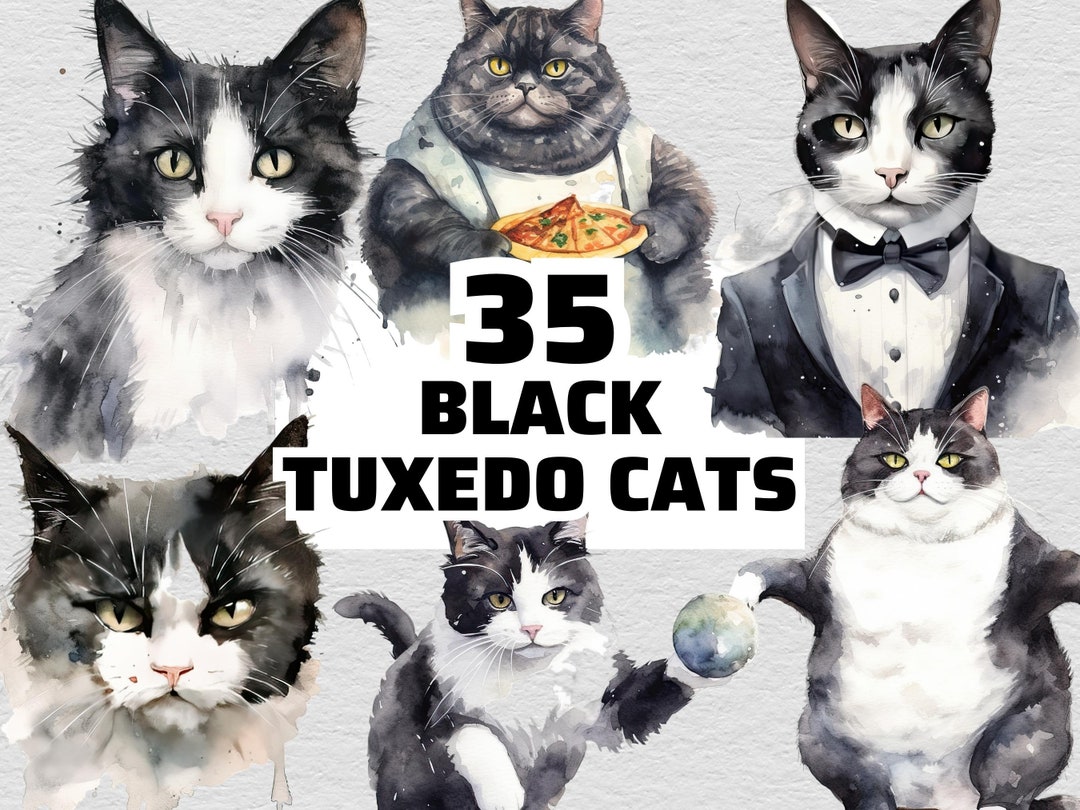 Cat Bundle Clipart, Cat Clipart Bundle, Tuxedo Cat Love, Tuxedo Cat ...