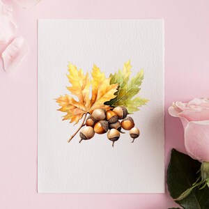 Fall Acorn Clipart, Scrapbook Clipart, Autumn PNG, Fall Clipart, Autumn ...