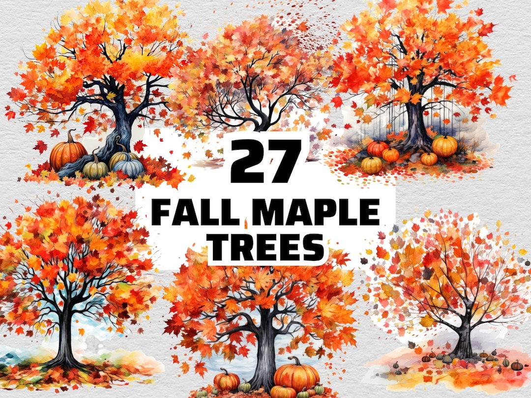 Fall Maple Tree Clipart, Watercolor Fall PNG, Fall Clipart, PNG Fall ...