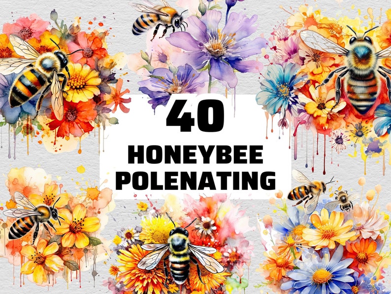 Honeybee Clipart Honeybee PNG Watercolor Honeybee PNG - Etsy