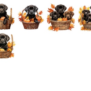 Cute Dog Clipart, Autumn PNG, Cute Clipart Watercolor PNG, Autumn ...