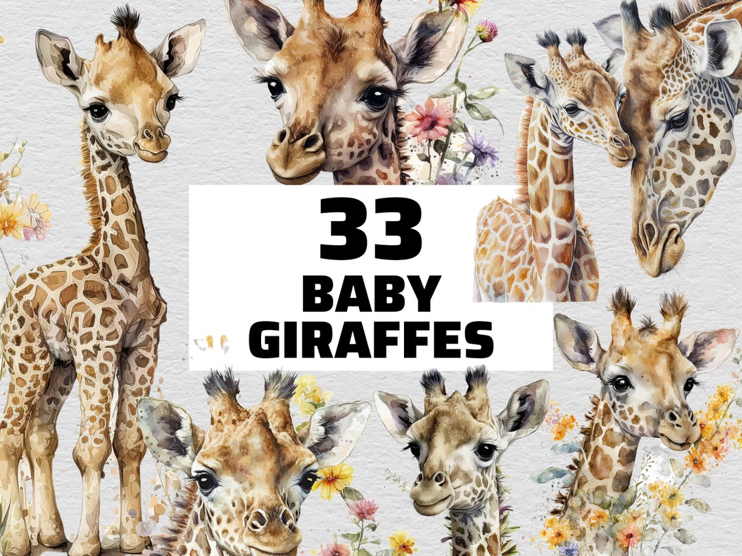 Baby Giraffe Clipart Giraffe Clip Art Baby Giraffe PNG Baby Giraffe ...