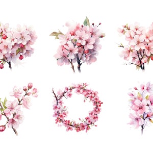 Cherry Blossom Clipart, Sakura Blossom PNG, Watercolor Cherry Blossom ...