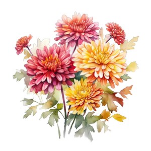 Watercolor Fall Mums, Autumn PNG, Wedding Clipart, Autumn Clipart ...