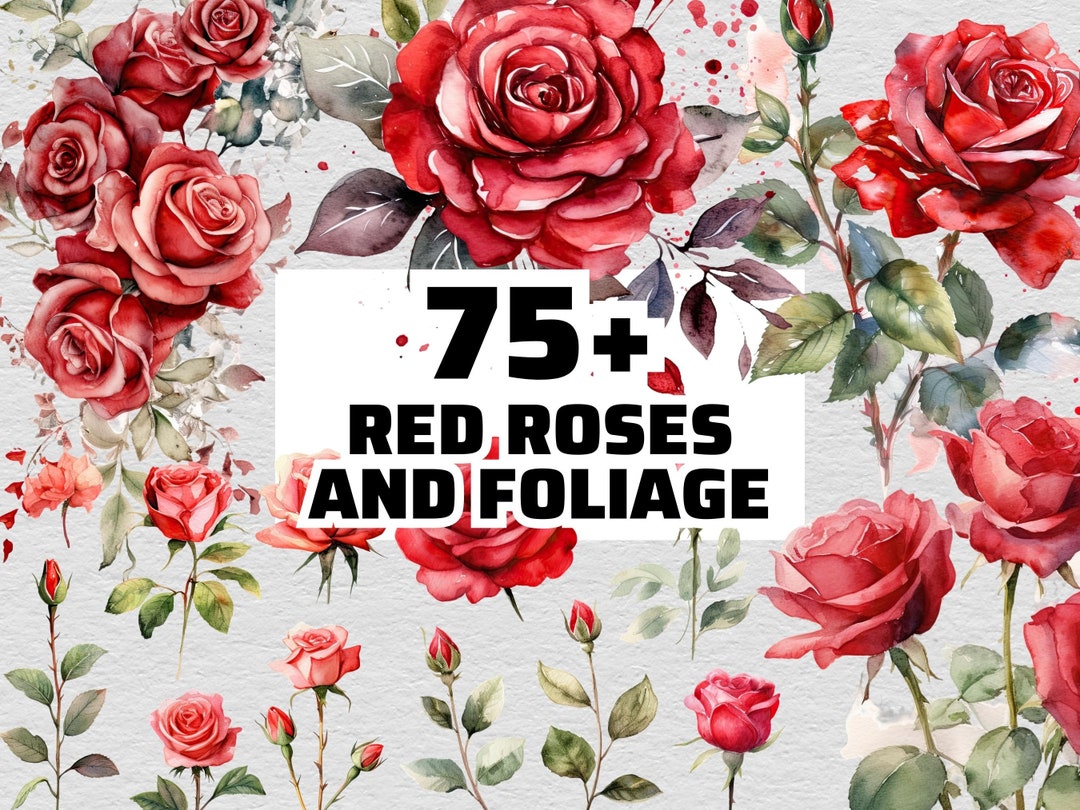 Roses Clipart Bundle, Rose Flower Bundle Clipart, Floral Rose Bundle ...