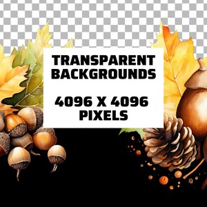 Fall Acorn Clipart, Scrapbook Clipart, Autumn PNG, Fall Clipart, Autumn ...