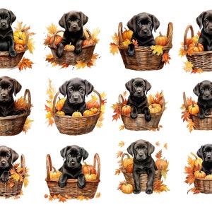 Cute Dog Clipart, Autumn PNG, Cute Clipart Watercolor PNG, Autumn ...