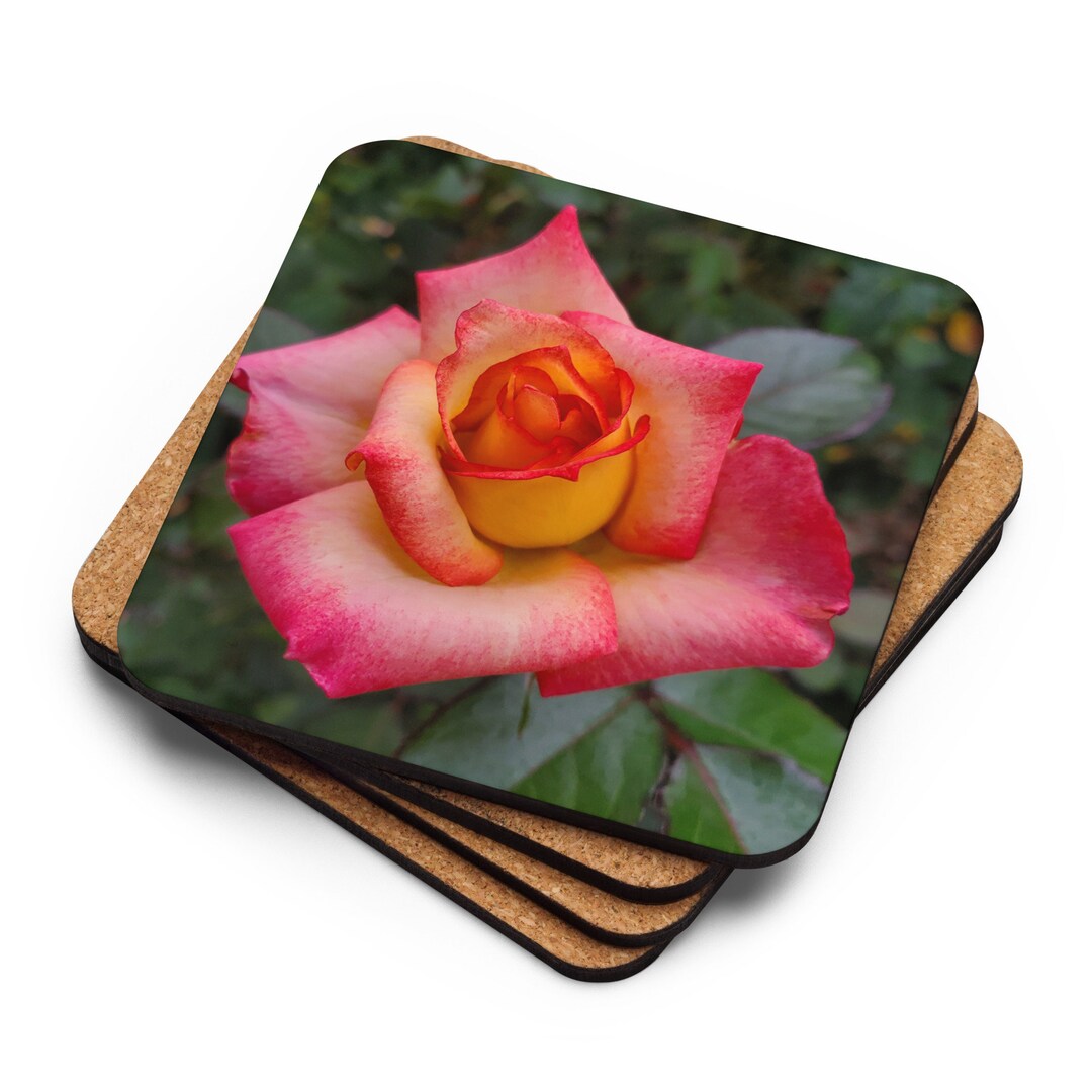Rose Burst Pink Cork-back Coaster - Etsy
