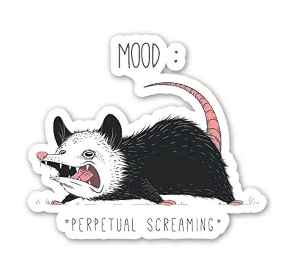 JUMBO 5inx4.28 Sticker Meme Sad Screaming Opossum Possum Kitty Cat ...