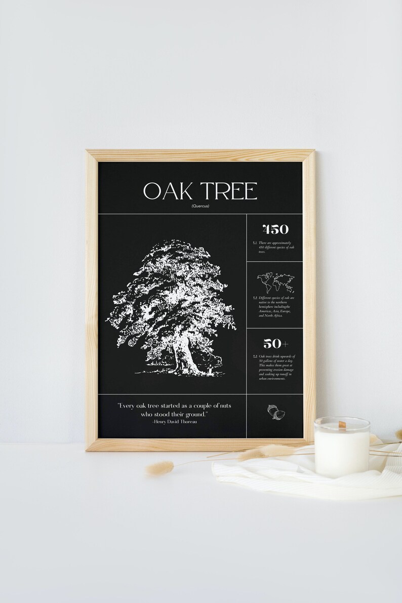 Oak Tree Poster Digital Download - Etsy