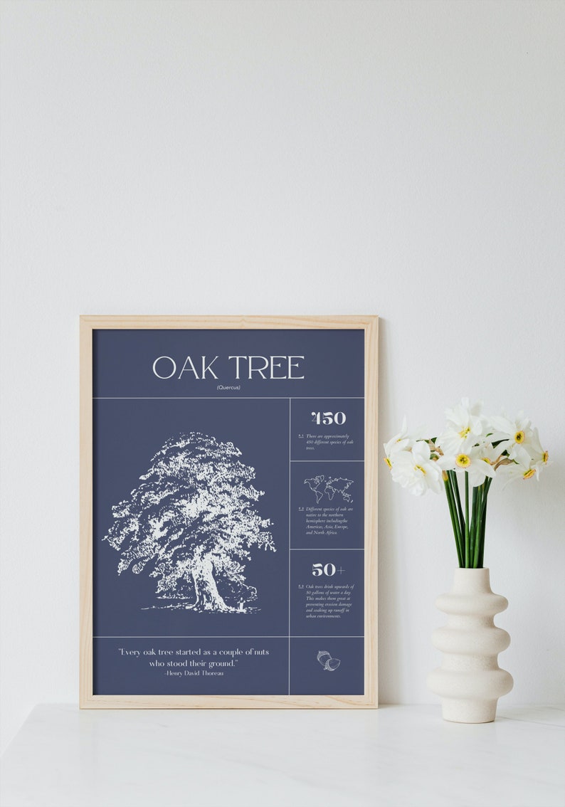 Oak Tree Poster Digital Download - Etsy