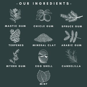 OFFICIAL Nathan & Sons - Underbrush Gum - MASTIC MINT Remineralizing ...